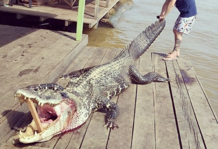 This One Time: The Caiman Hunt – S T R E A M S + T H O R N S